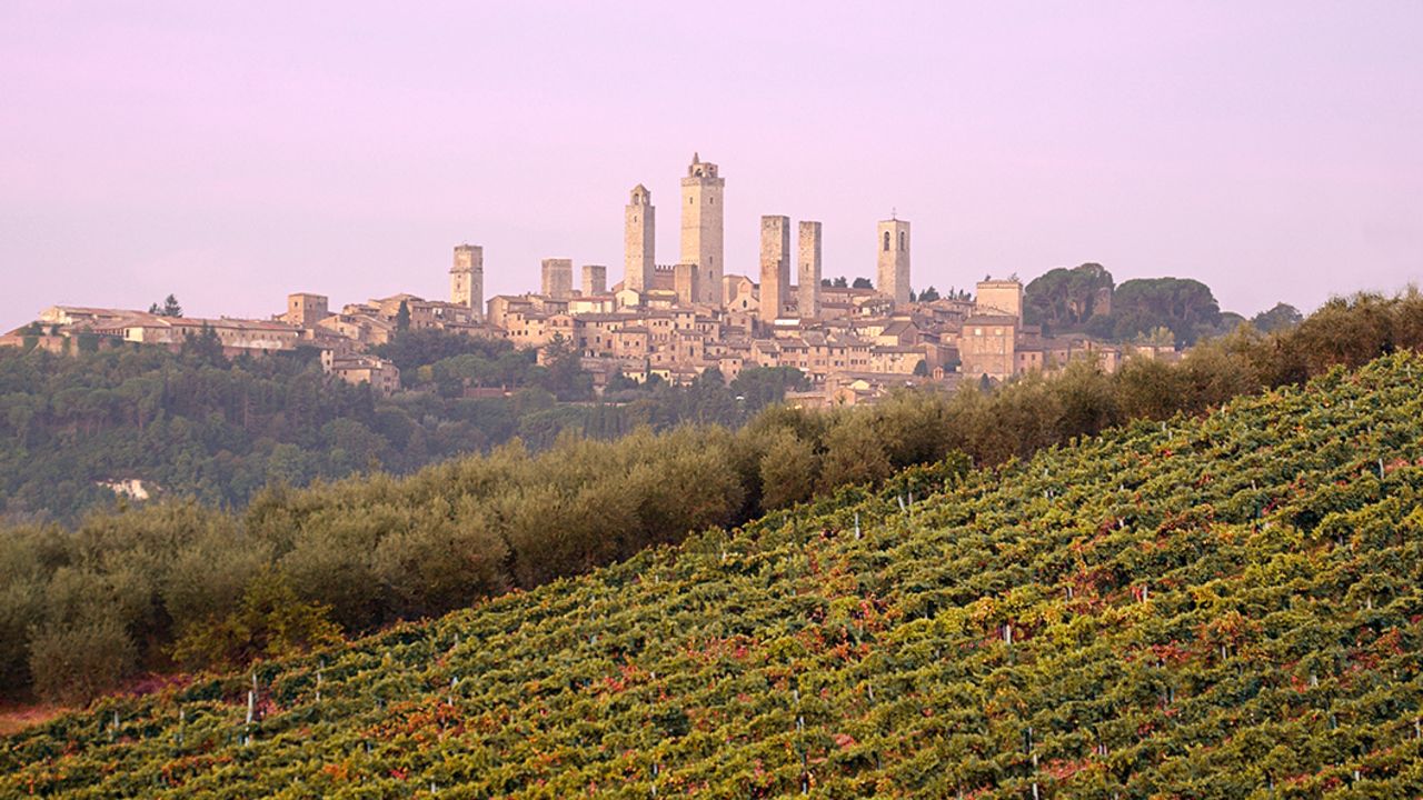 Vernaccia di San Gimignano DOCG | Top of Toskana 2023 | VINUM