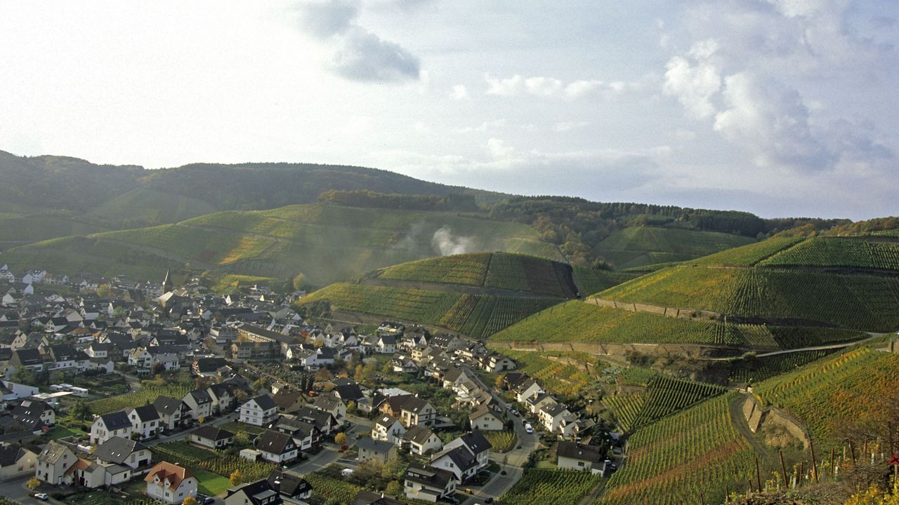 Die besten Winzer der Weinregion Ahr | VINUM Weinguide 2022