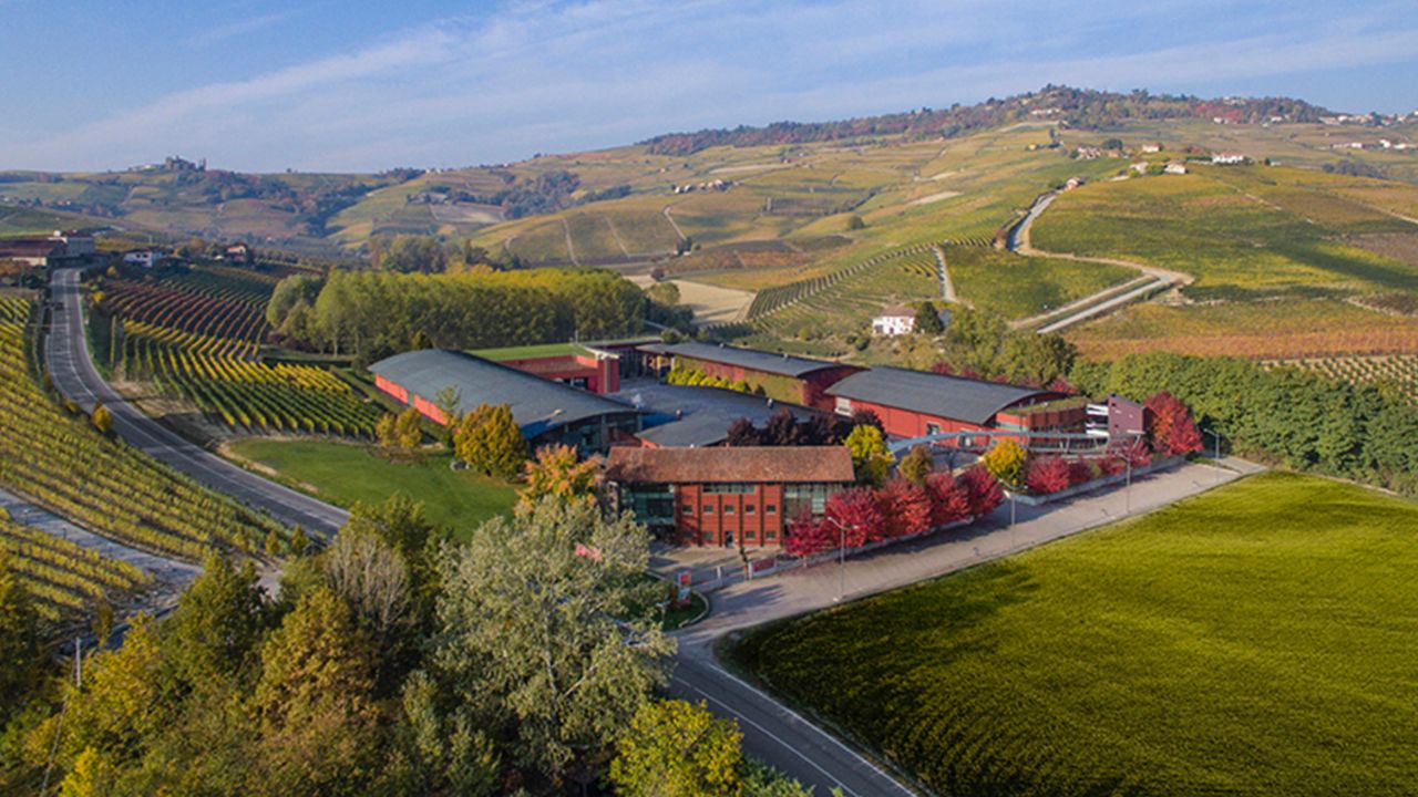 Vite Colte | Advertorial | VINUM