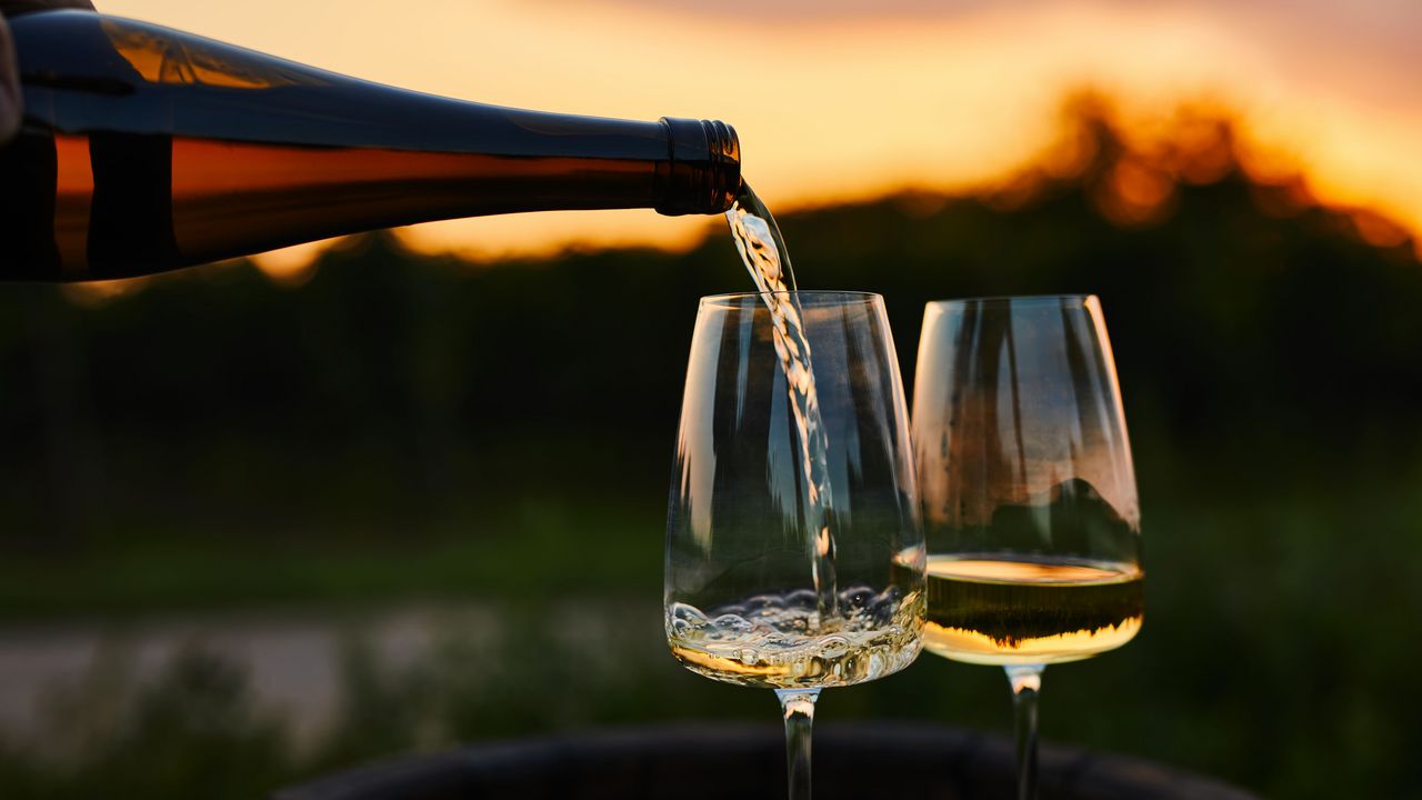 Die besten trockenen Weißweine unter 10 Eurom | VINUM Weinguide ...