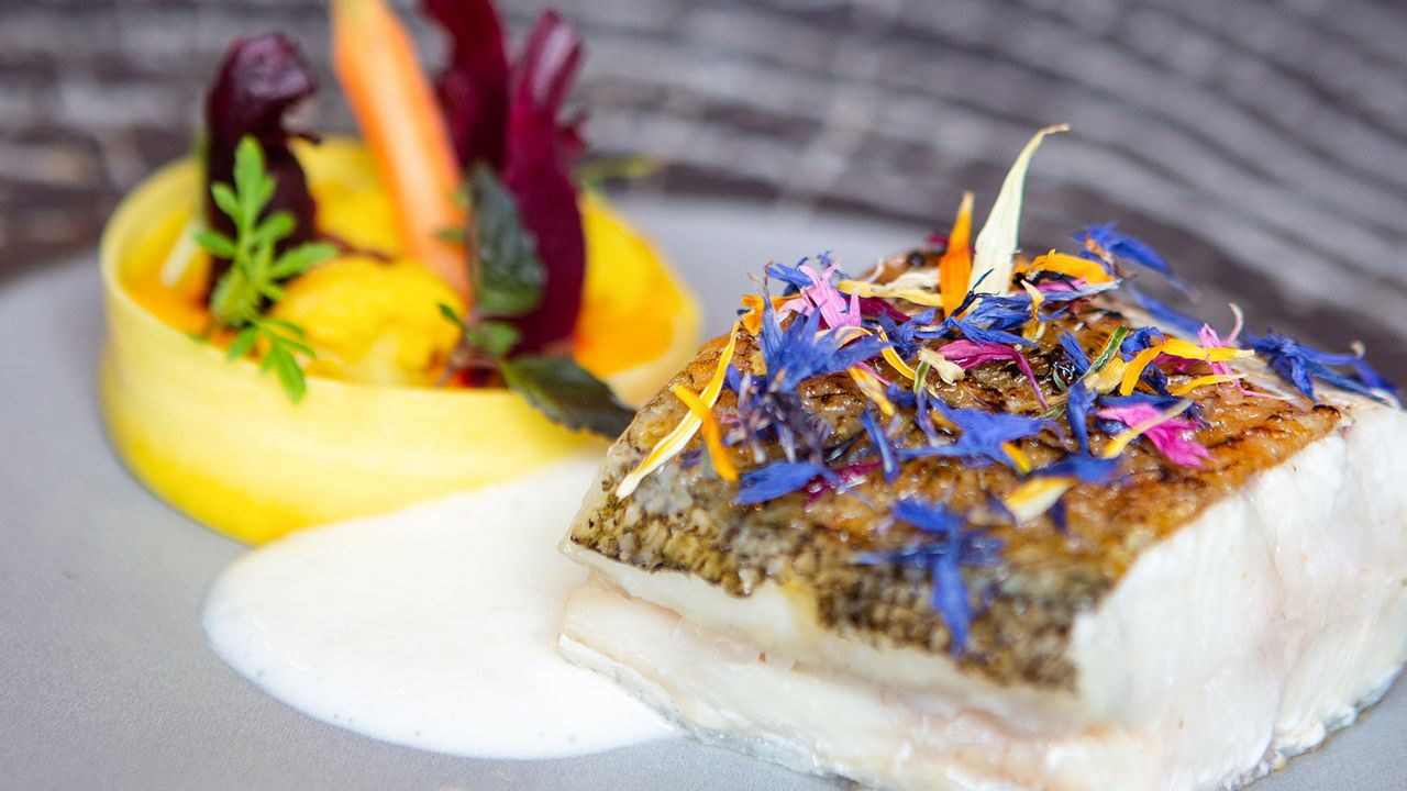 Secondo: Gerösteter Hecht | Food Pairing Franciacorta | World of ...