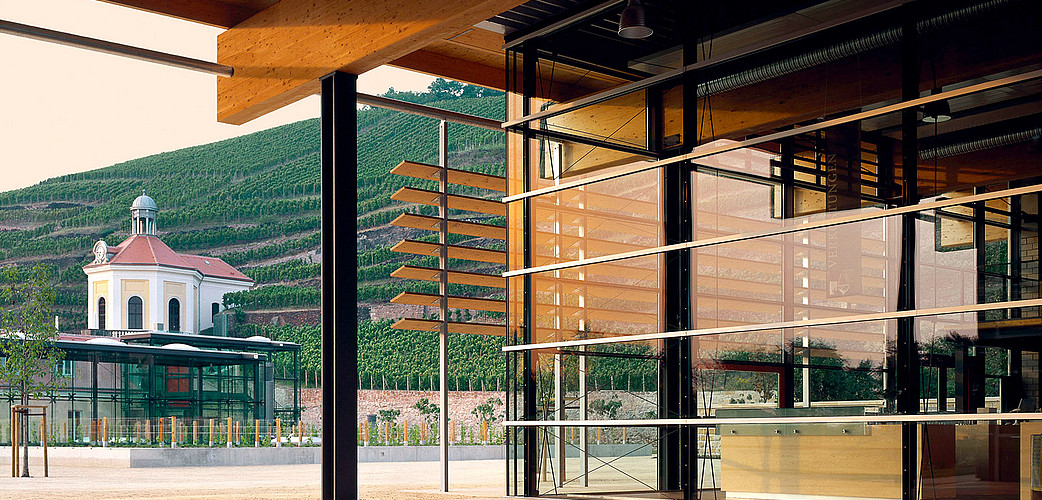 20 originelle Vinotheken