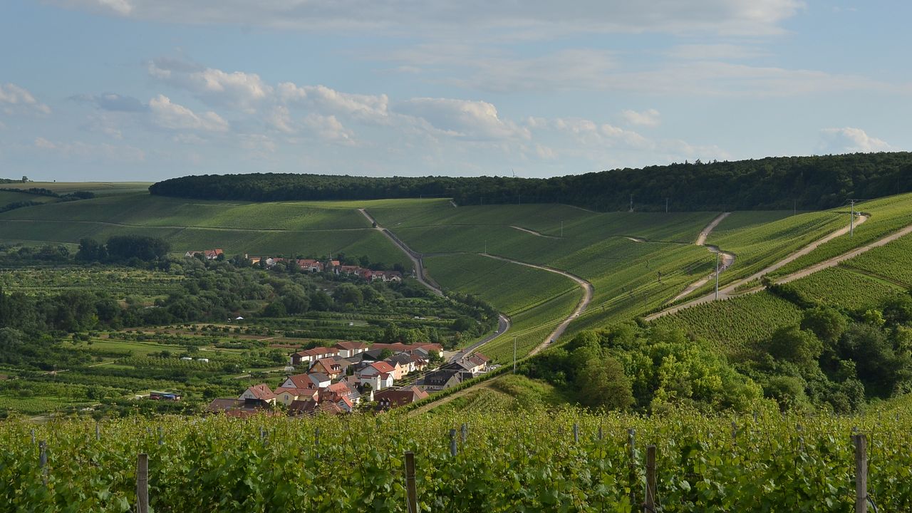Die besten Winzer der Weinregion Franken | VINUM Weinguide 2022