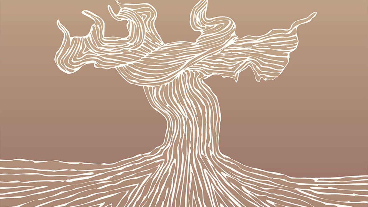 Piwi-Rebsorten | Infografik | Weinwissen | VINUM