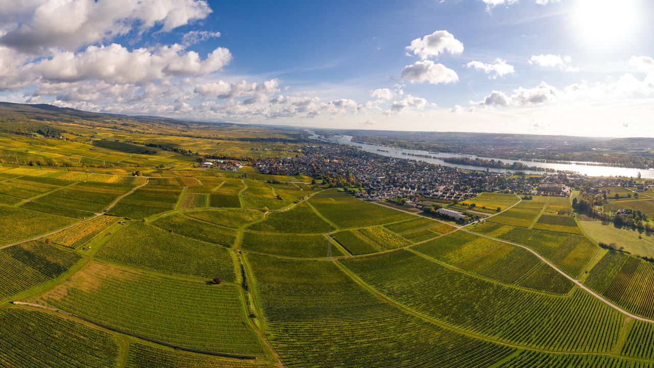 Die besten Winzer der Weinregion Rheingau | VINUM Weinguide Deutschland 2023