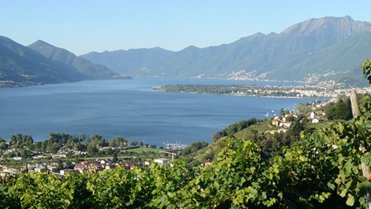 Reisetipp #8: Tenero, Tessin • VINUM Reisetipps • Weinreisen Schweiz