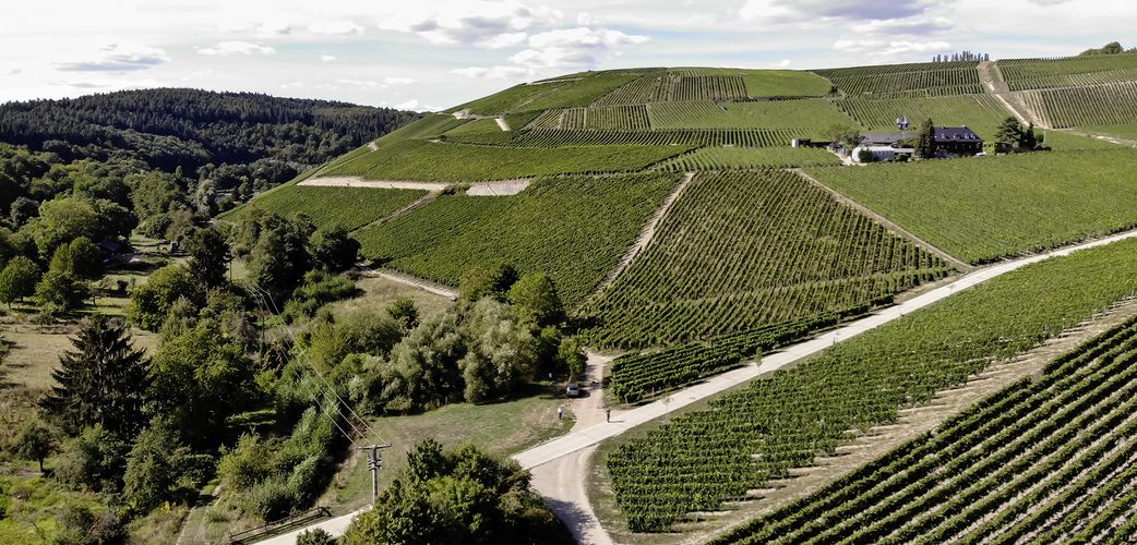 Corvers-Kauter | Unique Wineries of the World | VINUM