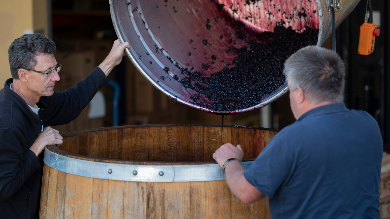 L’IVV dévoile sa stratégie 2030