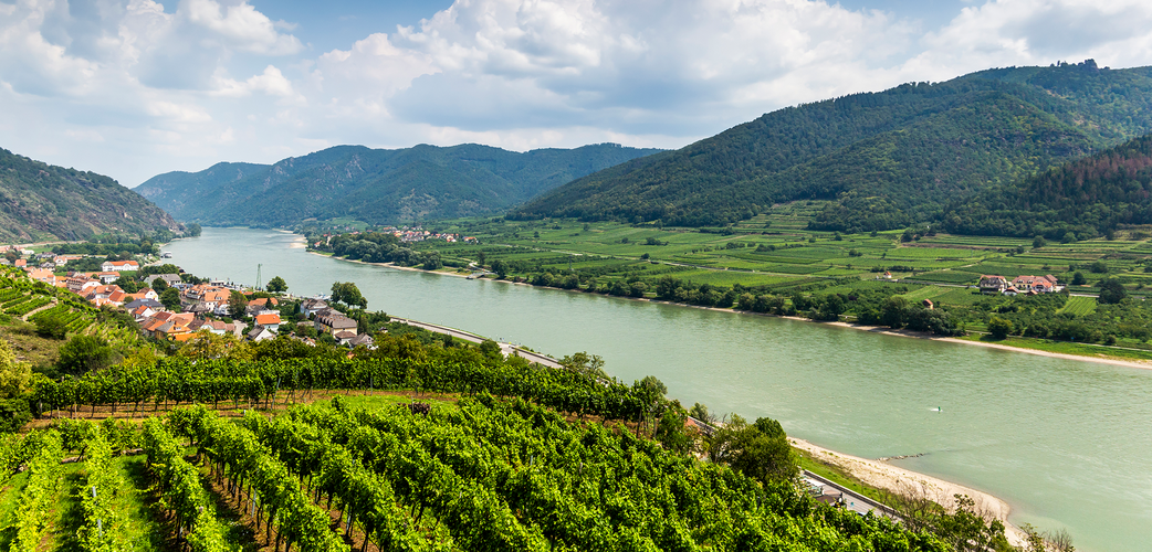 Wachau | Weinguide | VINUM