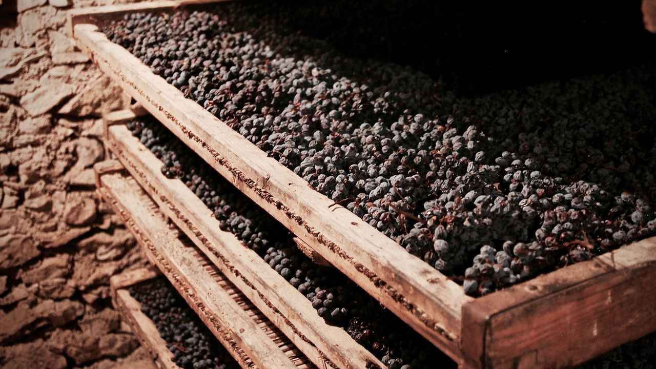 Appassimento als Weltkulturerbe | VINUM