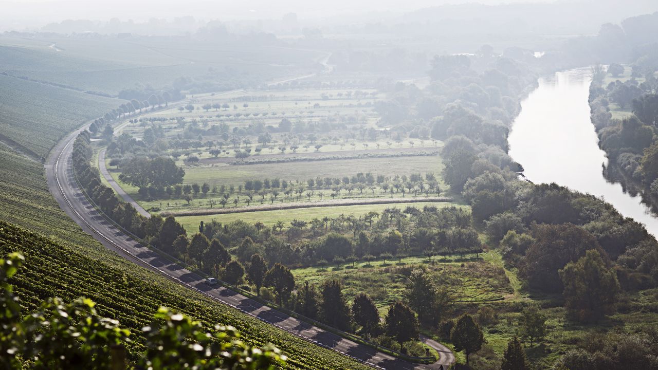 Die besten Winzer der Weinregion Franken | VINUM Weinguide Deutschland 2023
