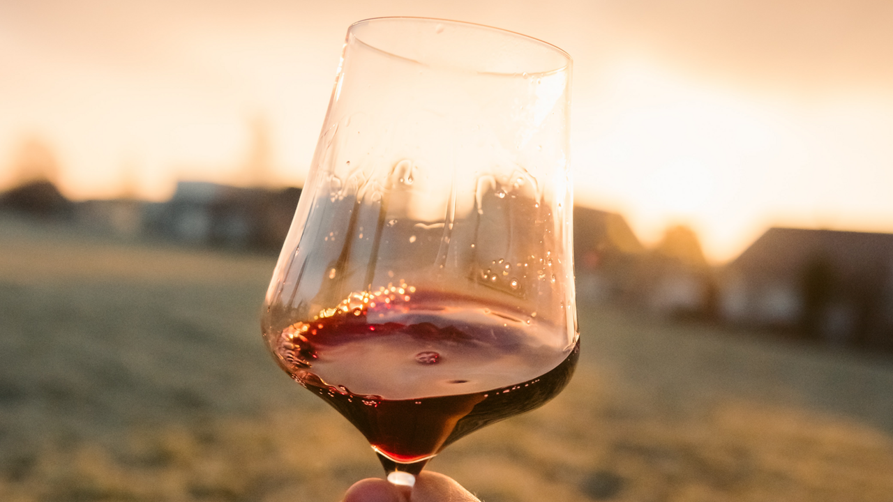 Die besten trockenen Rotweine unter 15 Euro