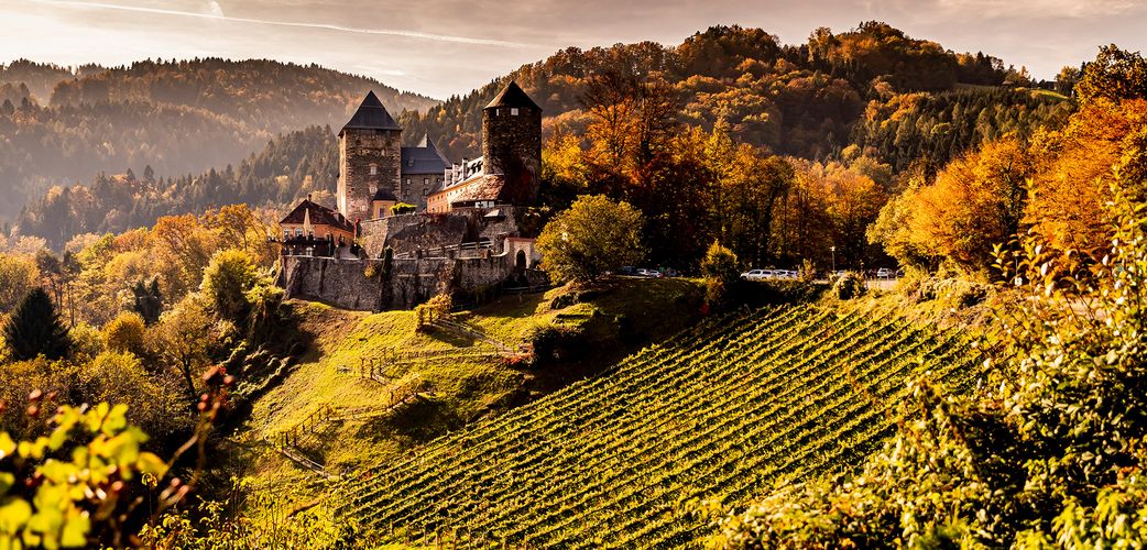 Steiermark | Weinland Österreich | VINUM