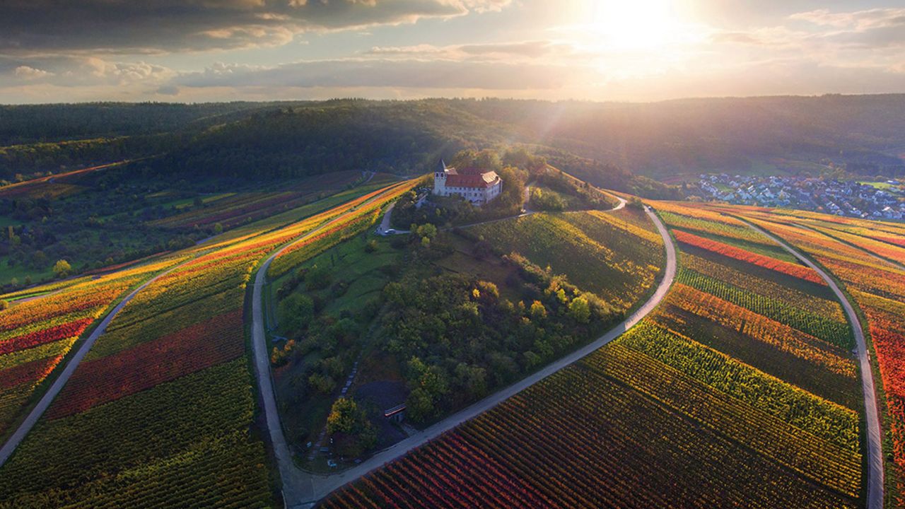 Weingärtner Cleebronn-Güglingen | Unique Wineries of the World | VINUM