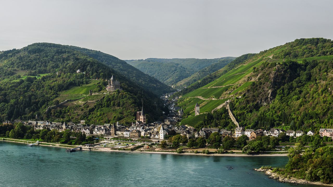 Die besten Winzer der Weinregion Mittelrhein | VINUM Weinguide 2022
