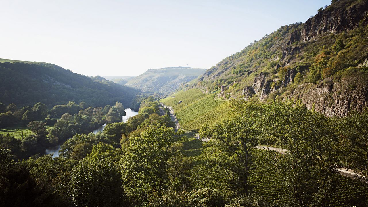 Die besten Winzer der Weinregion Nahe | VINUM Weinguide 2022