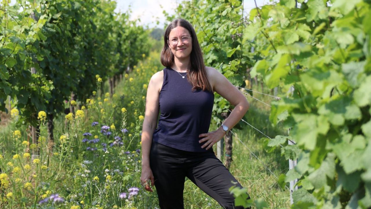 Weltweit einzige Professorin für Öko-Weinbau berufen - VINUM