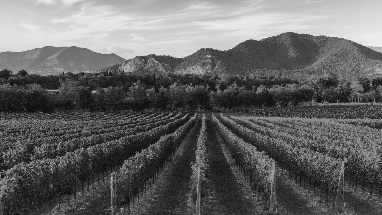 Franciacorta-Pionier Franco Ziliani mit 90 Jahren gestorben