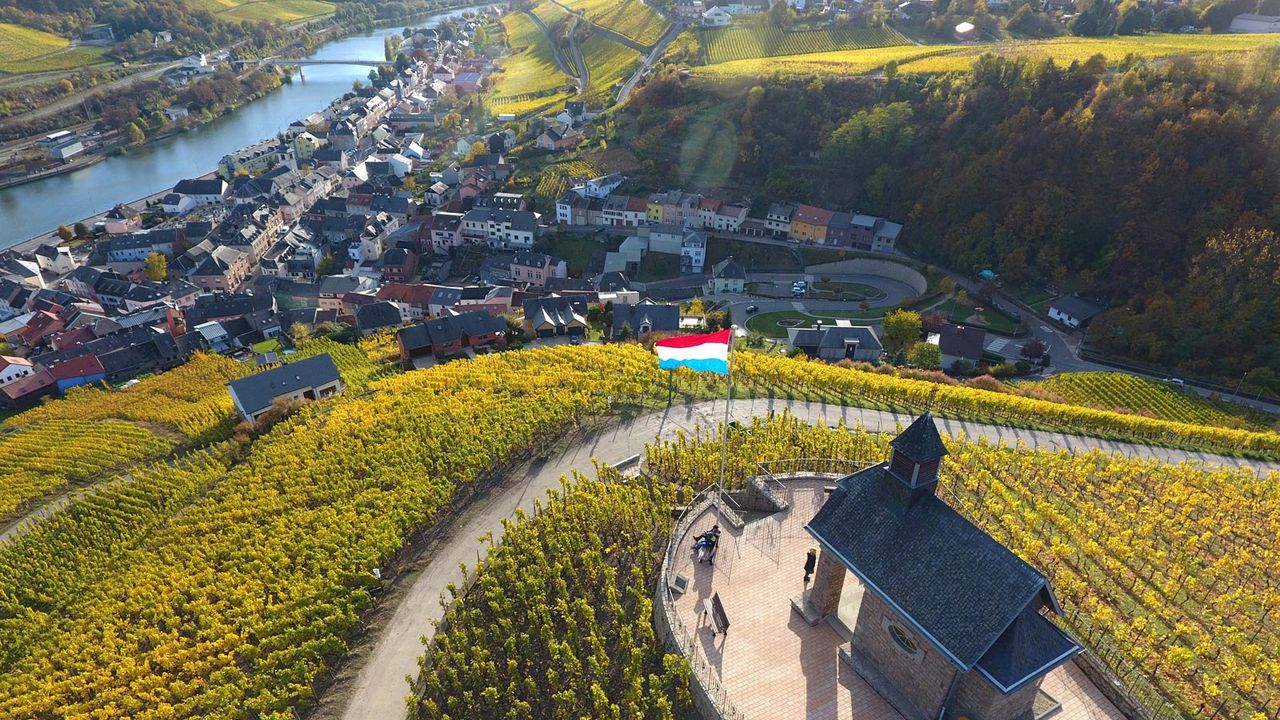 Die besten Winzer der Weinregion Luxemburg Die besten Winzer der Weinregion Luxemburg