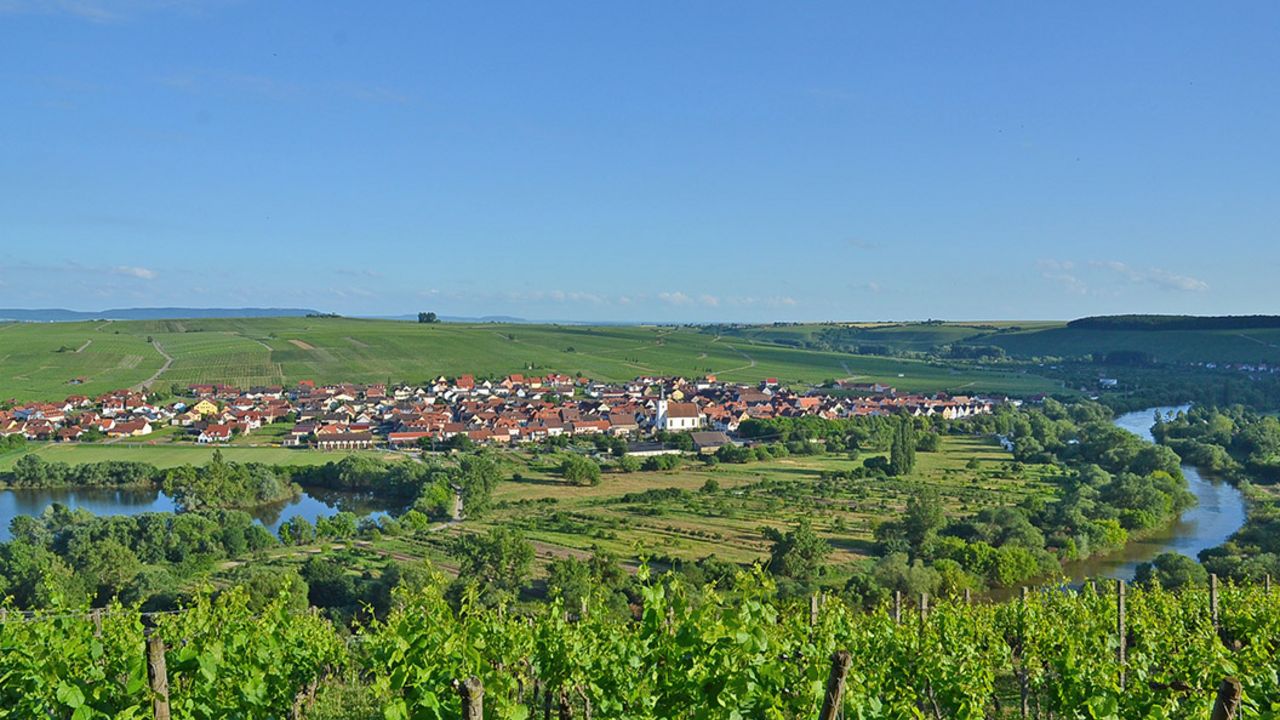Die besten Winzer der Weinregion Franken 2024 | VINUM Weinguide Deutschland 2024
