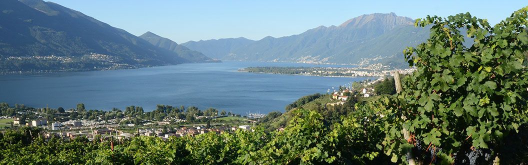 Reisetipp #8: Tenero, Tessin • VINUM Reisetipps • Weinreisen Schweiz