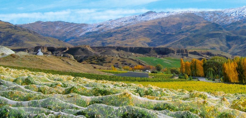 Mt. Difficulty Winery – 22 Millionen Euro-Deal